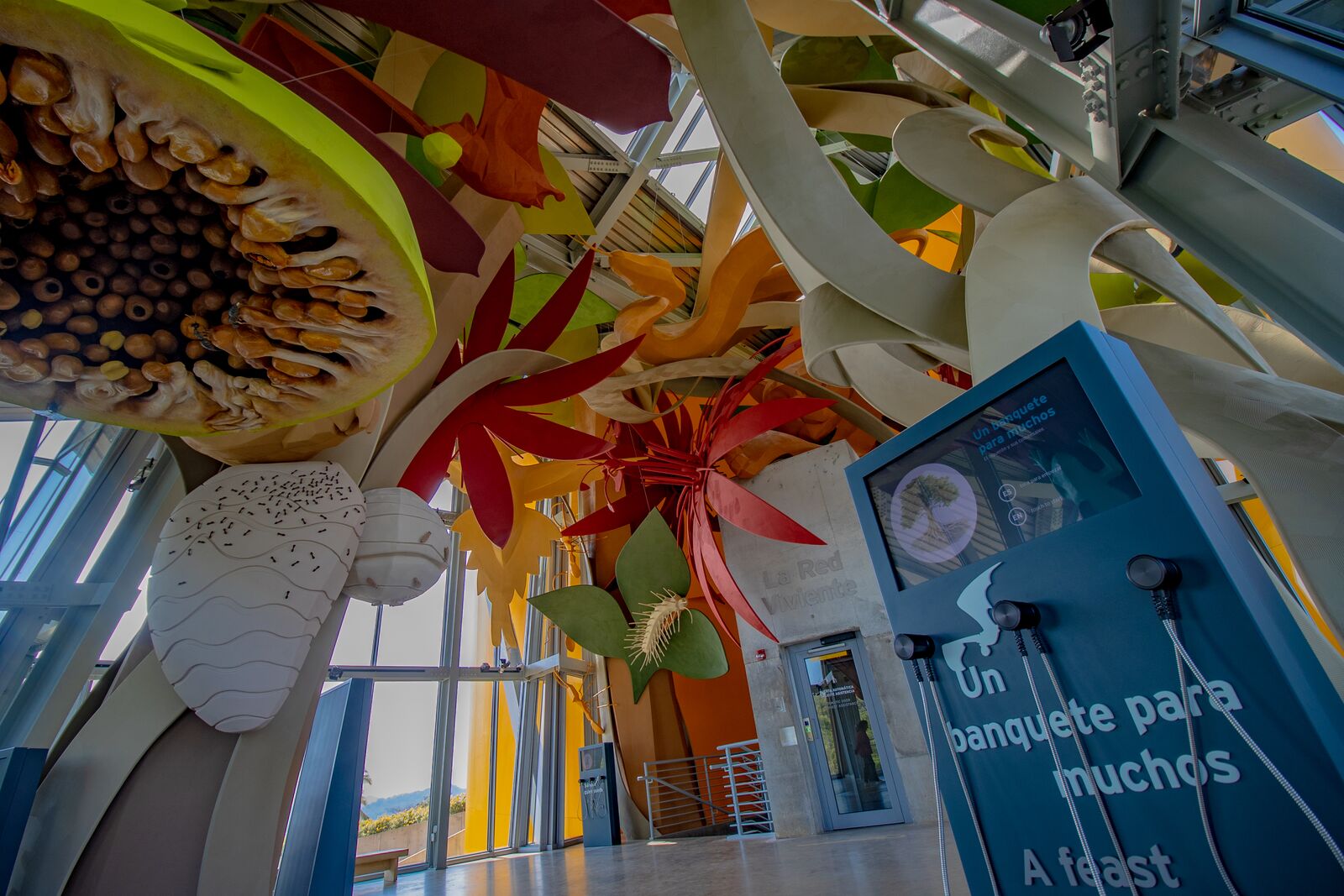 Visit of the Museums of the Casco Antiguo (Old Town) and Panama City ...