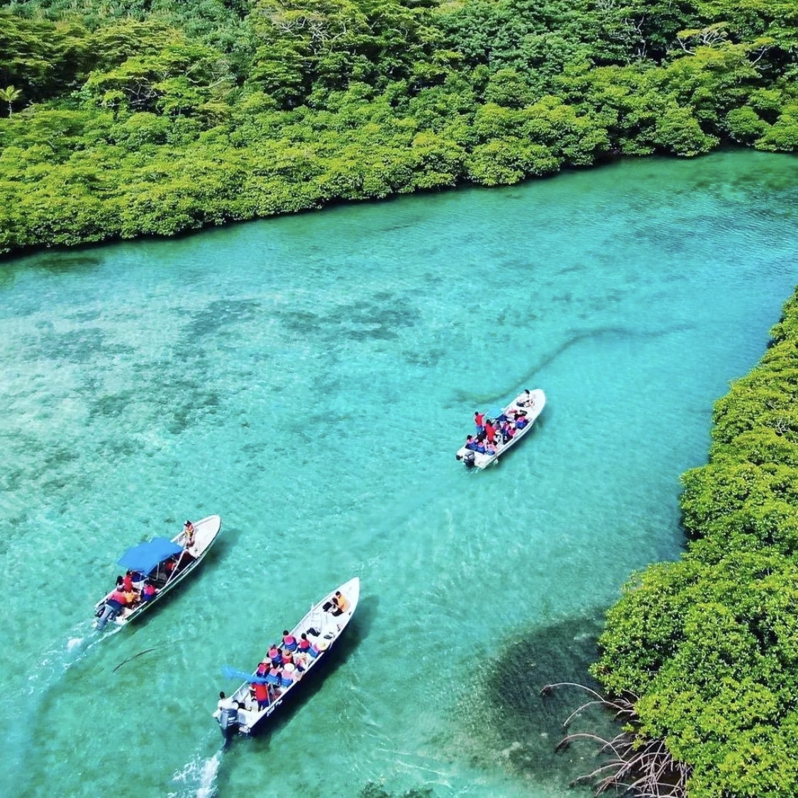 Boat tour: Blue Veins, Playa Blanca and Mangote Island | Nativa Tours